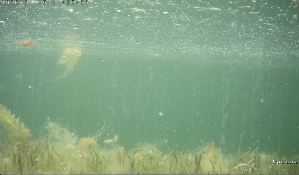 Underwater Camera - CHARPIE Underwater Robotics, Thrusters & Cables